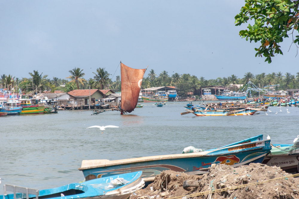 Negombo in one day – sLOVEnians travel