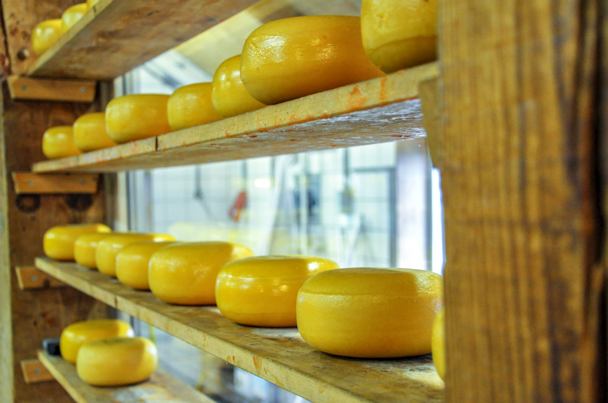 Tulips, cheese and clogs – welcome to Holland – sLOVEnians travel